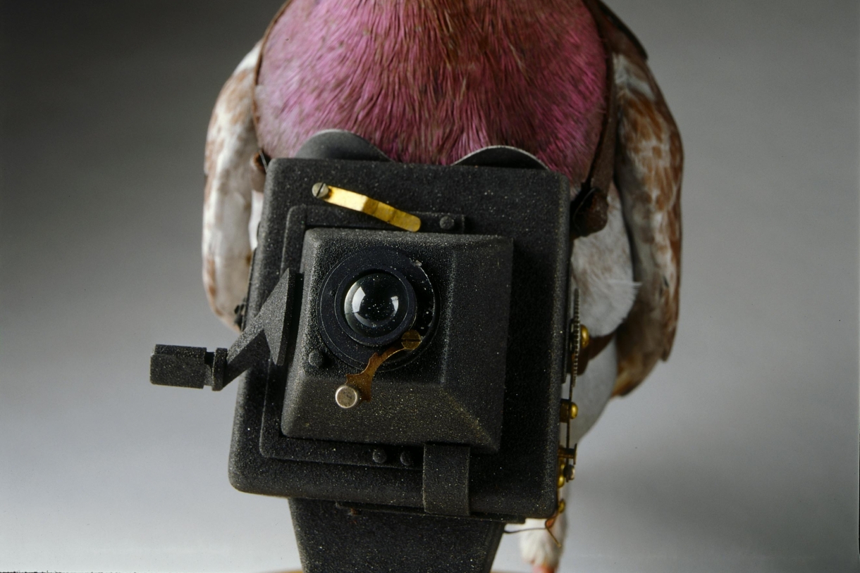 Pigeon Camera | International Spy Museum